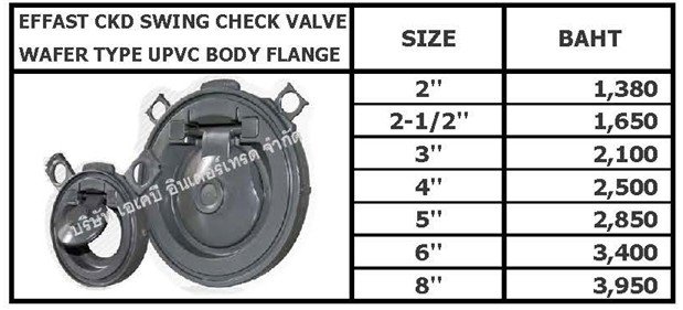 EFFAST CKD SWING CHECK VALVE