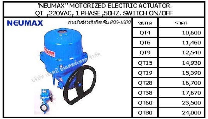 NEUMAX" MOTORIZED ELECTRIC ACTUATOR - akbintertrade