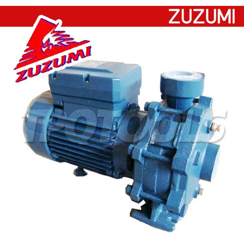 2TCP50/300 220V ปั๊มน้ำหอยโข่งไฟฟ้า 2 ใบพัดท่อ 2 นิ้ว 2200W ZUZUMI - tpqtools-thailand