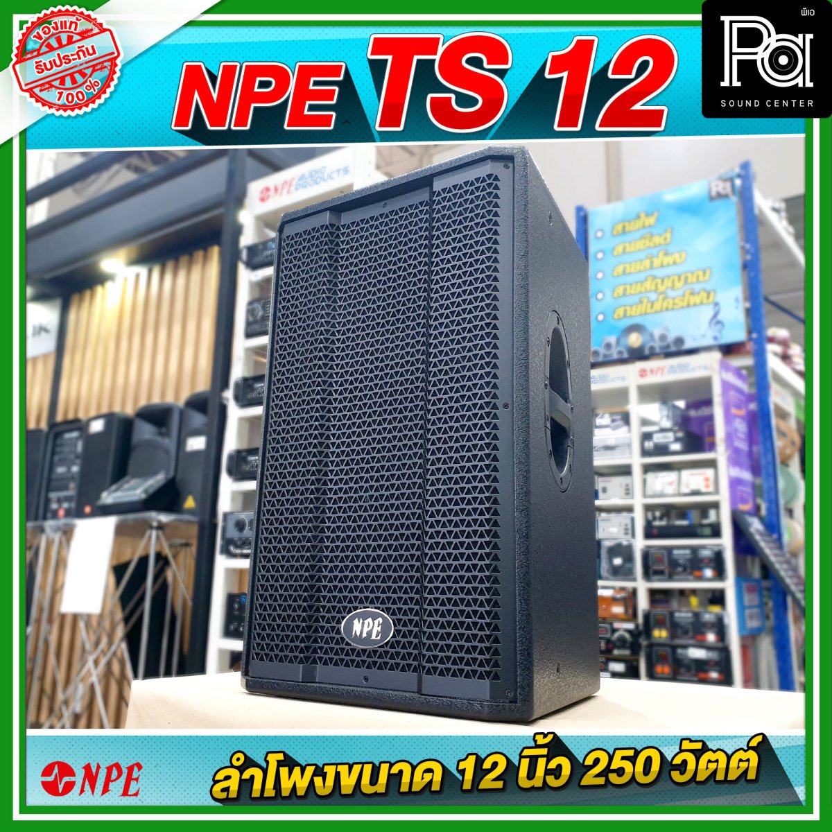 NPE TS 12 ตู้ลำโพง ขนาด 12 นิ้ว 2Way กำลังขับ 250W ที่ 8 โอห์ม