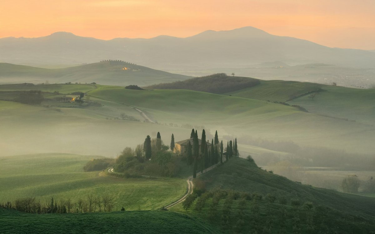 Super Tuscan Wine: History of Italy's Rebel Wines | Rimping