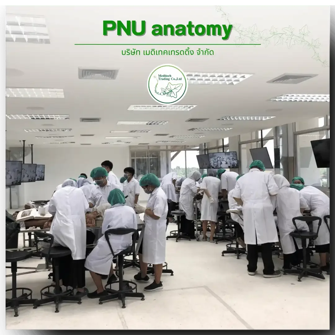 PNU anatomy