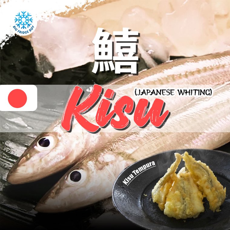 A Culinary Delight in Tempura "Kisu Fish" (Japanese Whiting)
