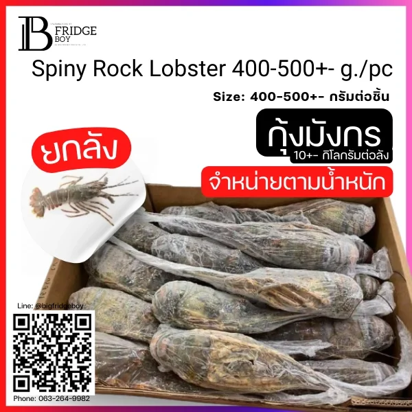 Spiny Rock Lobster 400-500 G/PC Spec: 10+- kg.
