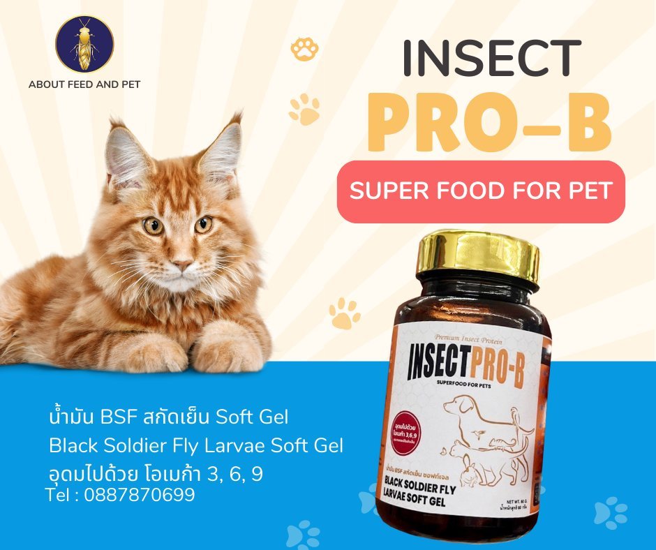 น้ำมัน BSF สกัดเย็น Soft Gel แบรนด์ INSEC PRO-B