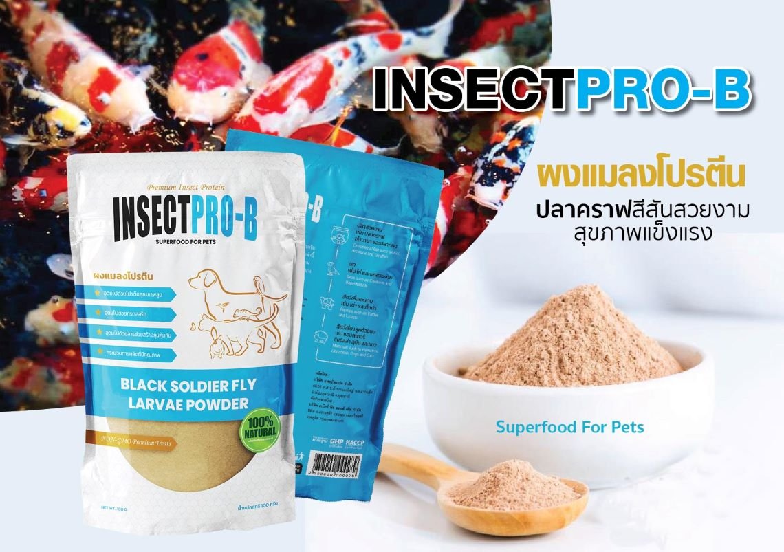 ผงแมลงโปรตีน INSECTPRO-B ซูเปอร์ฟู้ดสำหรับสุนัข