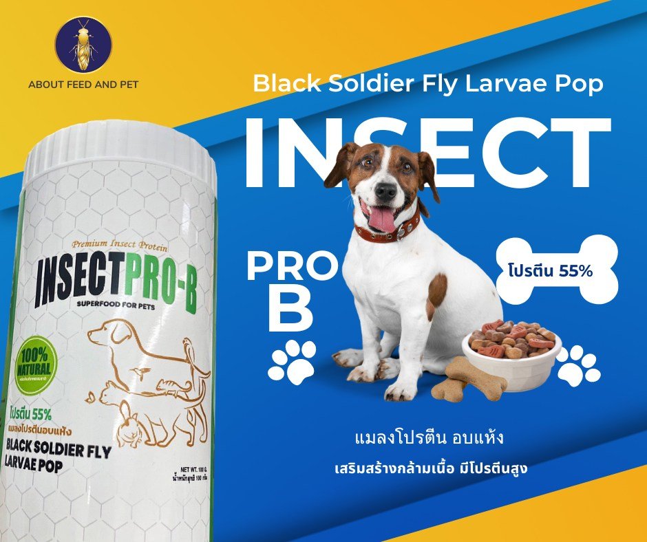 Black Soldier Fly Larvae POP