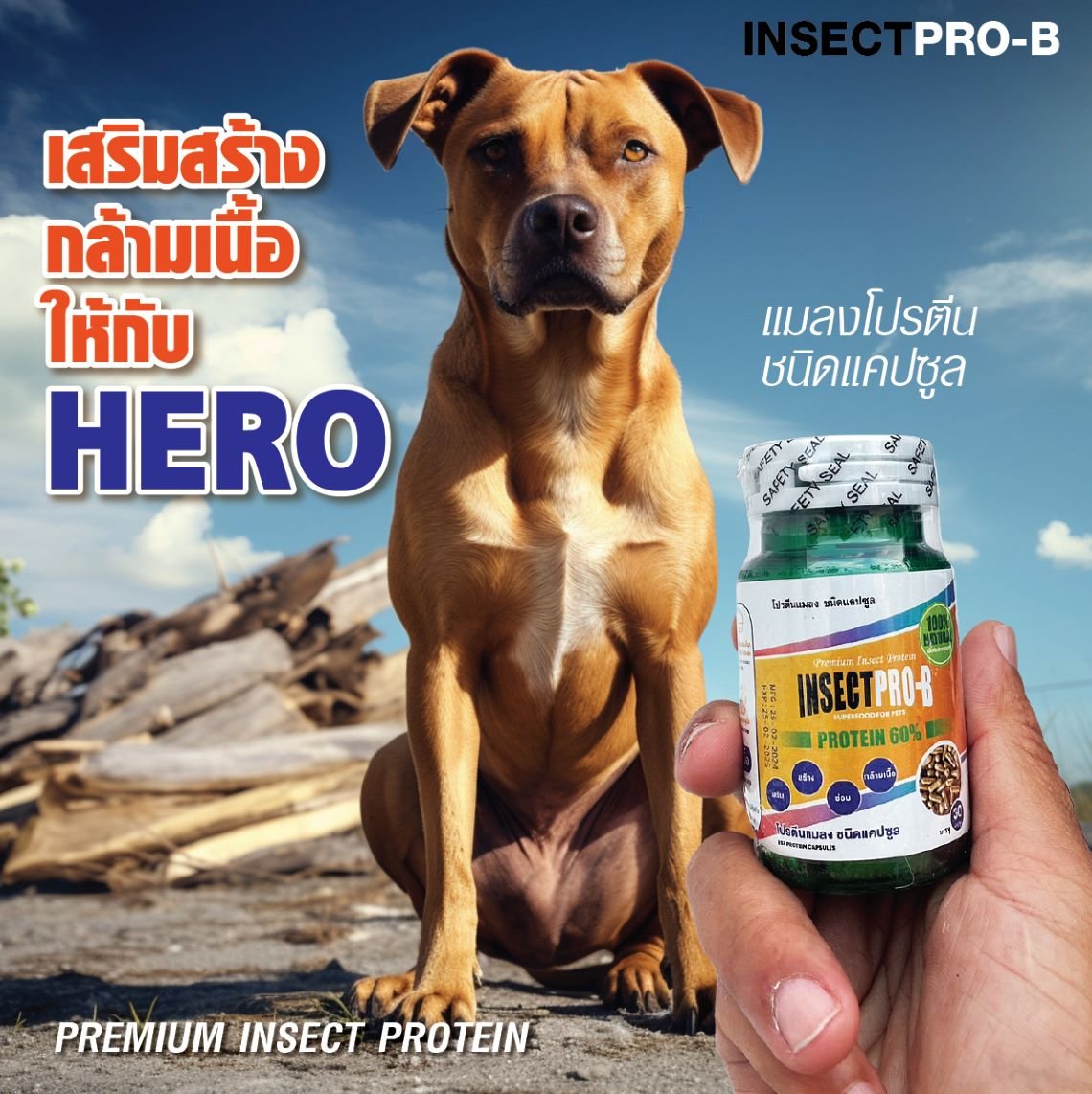 BSFL (Black Soldier Fly Larvae) capsule type.