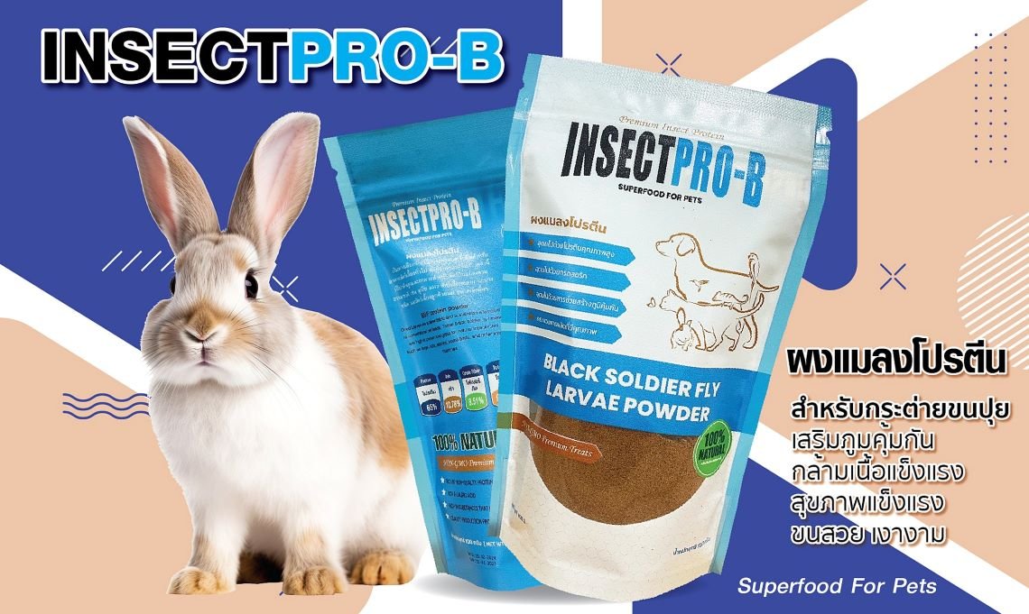ผงโปรตีนจากหนอน Black Soldier Fly แบรนด์ INSECPRO–B