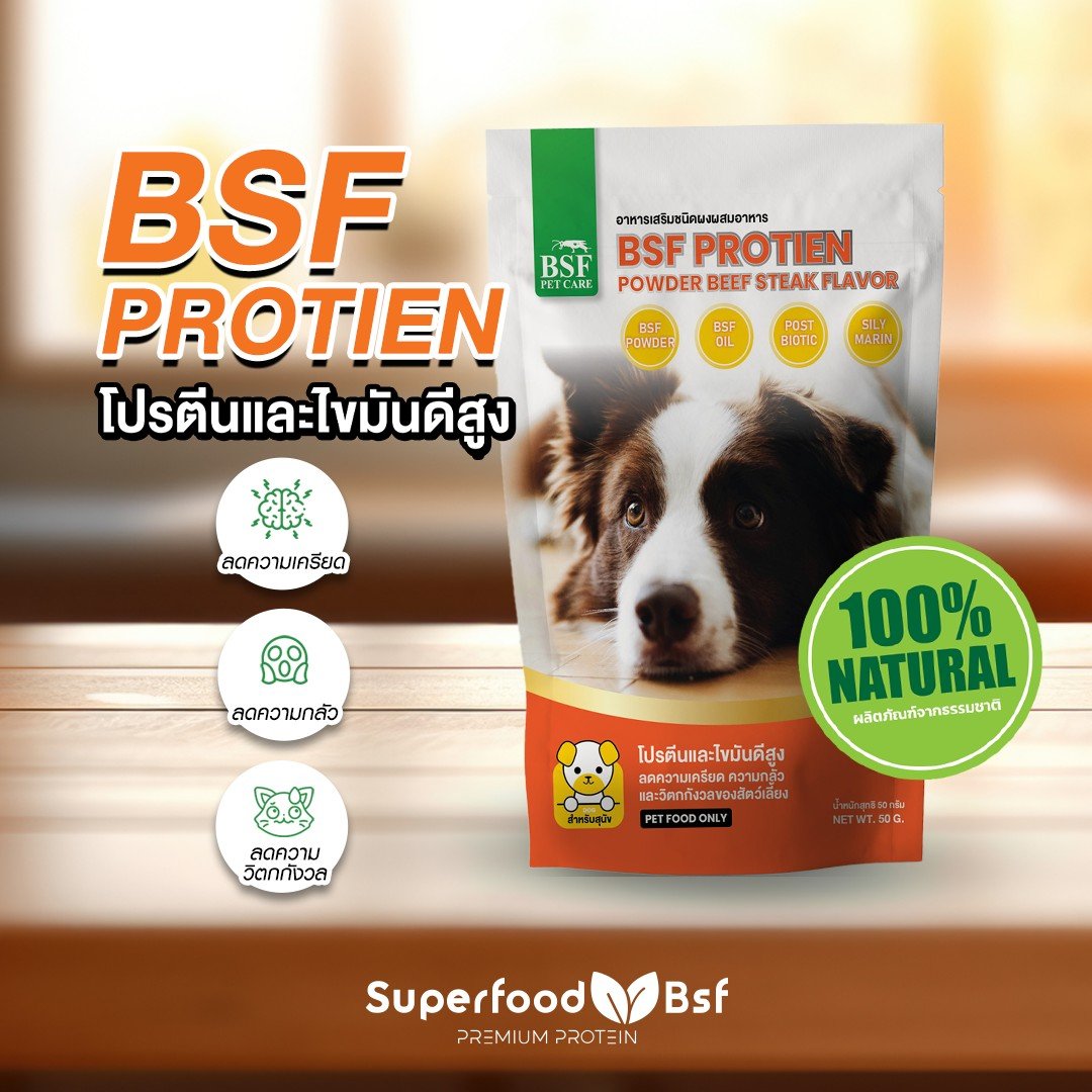BSF Protein for Dog Powder beef steak flavor