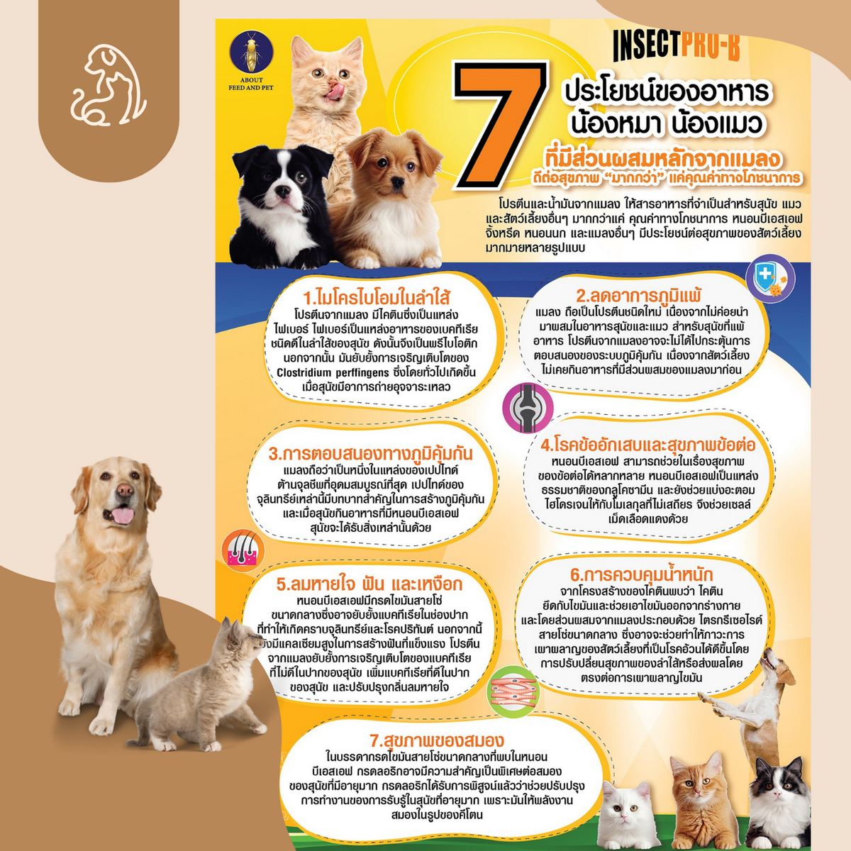 7 benefits of BSF protein food for dogs and cats