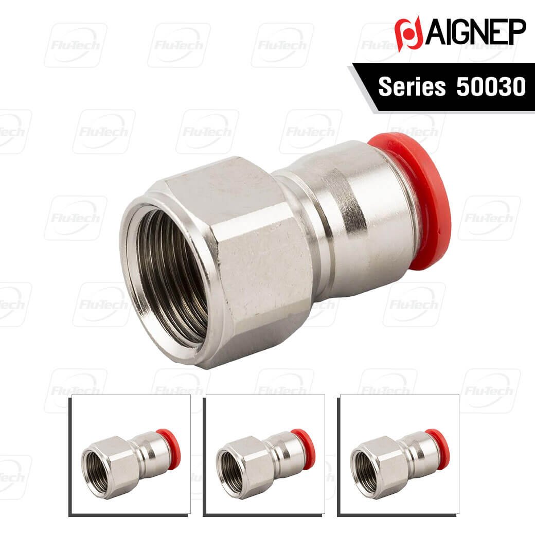 จำหน่าย AIGNEP Series 50030 "บริษัท ฟลูเทค จำกัด" - flutechthailand