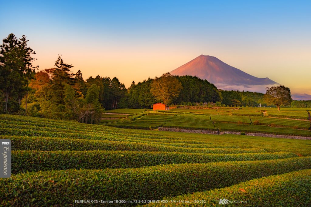 TAMRON EXPERIENCE : ฟูจิซัง…ช่างทำกันได้