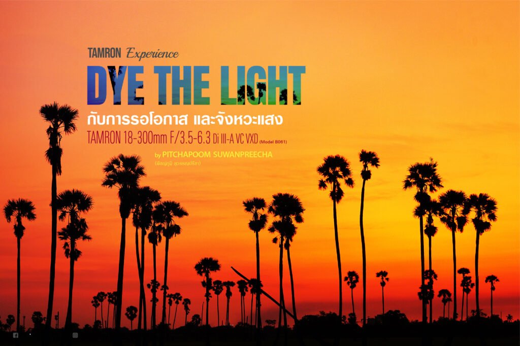 TAMRON EXPERIENCE : DYE THE LIGHT ดงตาลสามโคก กับเลนส์TAMRON B061