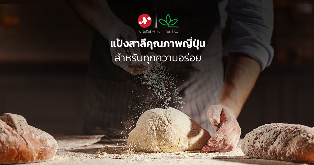 High-Quality Wheat Flour Factory I nisshinstc.com