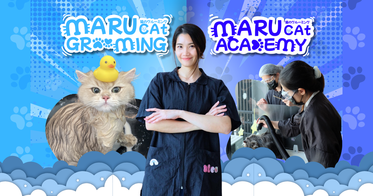 Maru Cat Grooming & Academy | ร้านอาบน้ำแมว & สอนอาบน้ำแมว 4S+