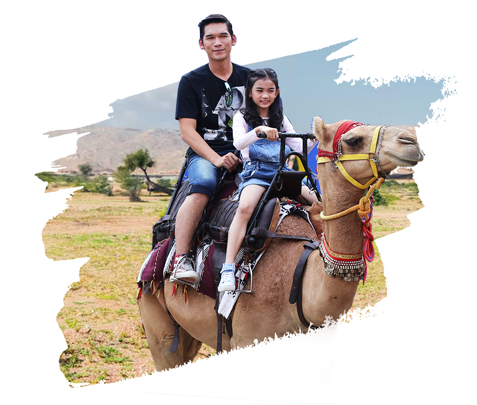 camelrepublicpark.com