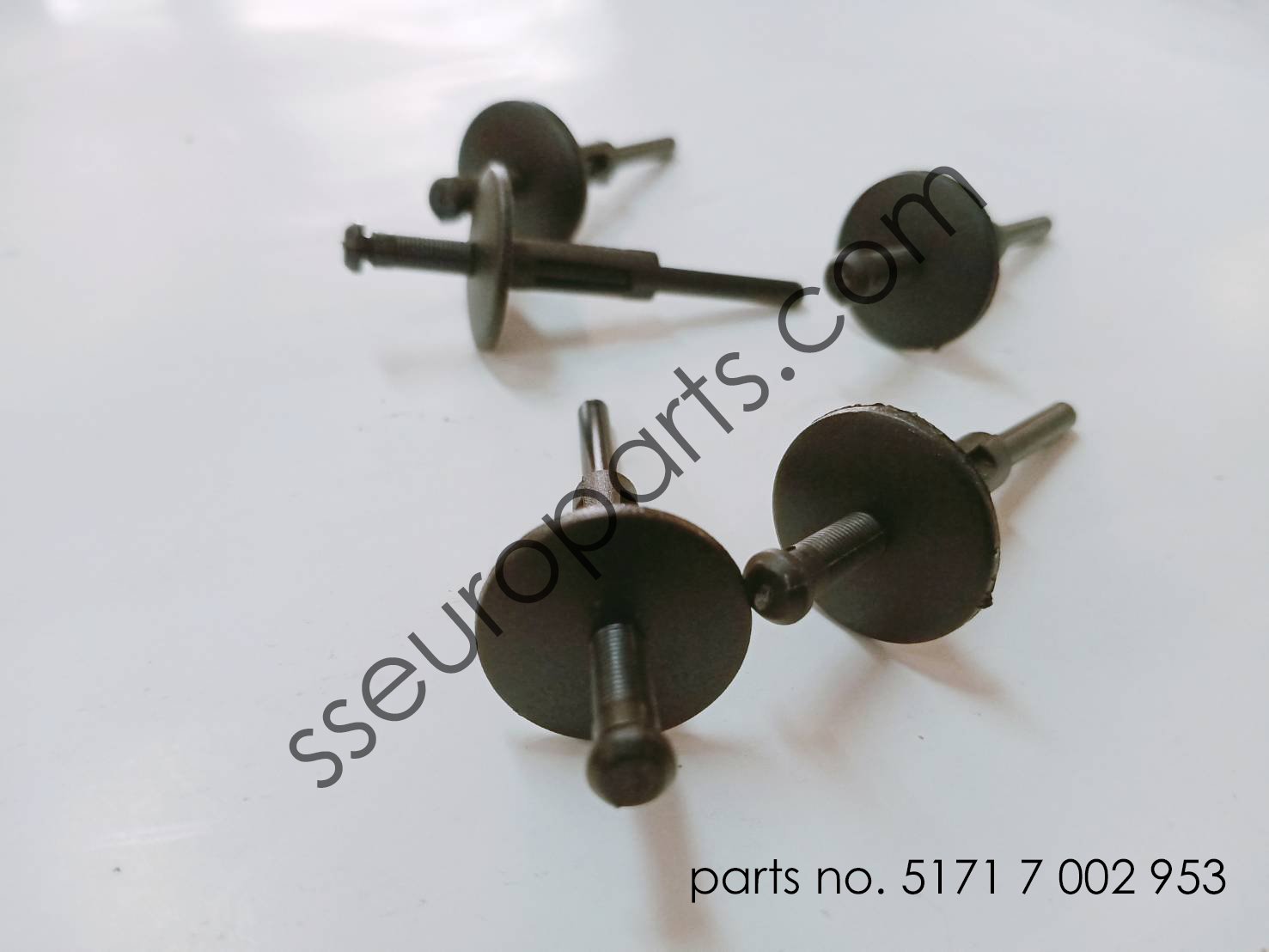 หมุดขยาย หมายเลขชิ้นส่วน: 51717002953 7002953 เทียบ - sseuroparts
