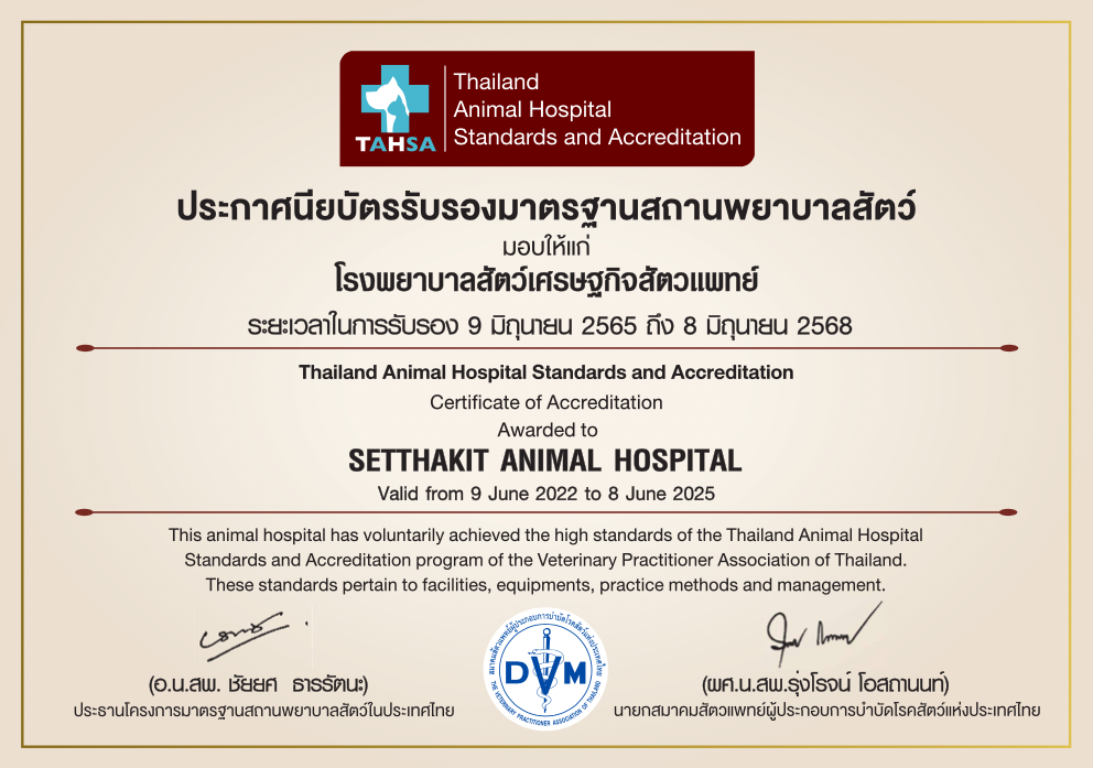 ประวัติความเป็นมา - setthakitanimalhospital