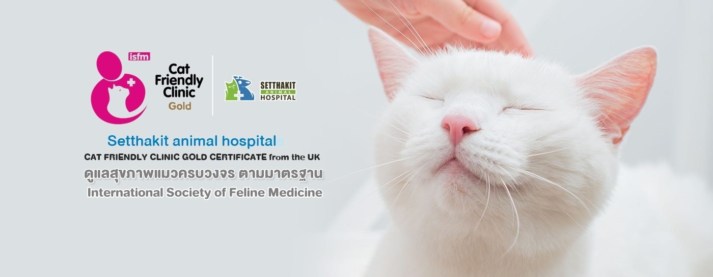 ให้บริการรักษาโรคทั่วไป รวมถึงการดูแลสุขภาพแมวครบวงจร ...