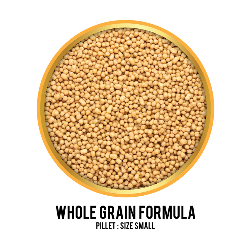 BOOST BIRD WHOLE GRAIN FORMULA - pcnpetfood