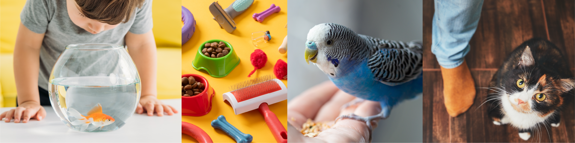 ABOUT PCN - pcnpetfood