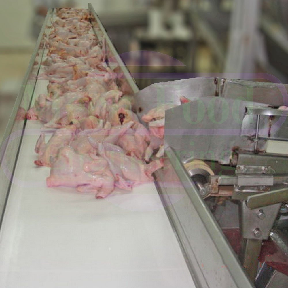 PROCESS CONVEYOR - mechfood