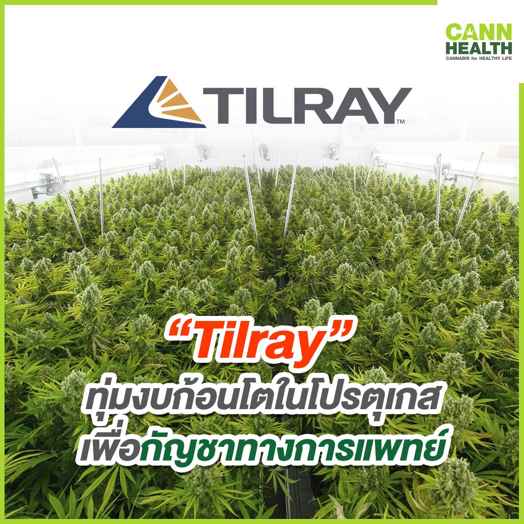“Tilray” ทุ่มงบก้อนโตในโปรตุเกส..เพื่อกัญชาทางการแพทย์ - cannhealth