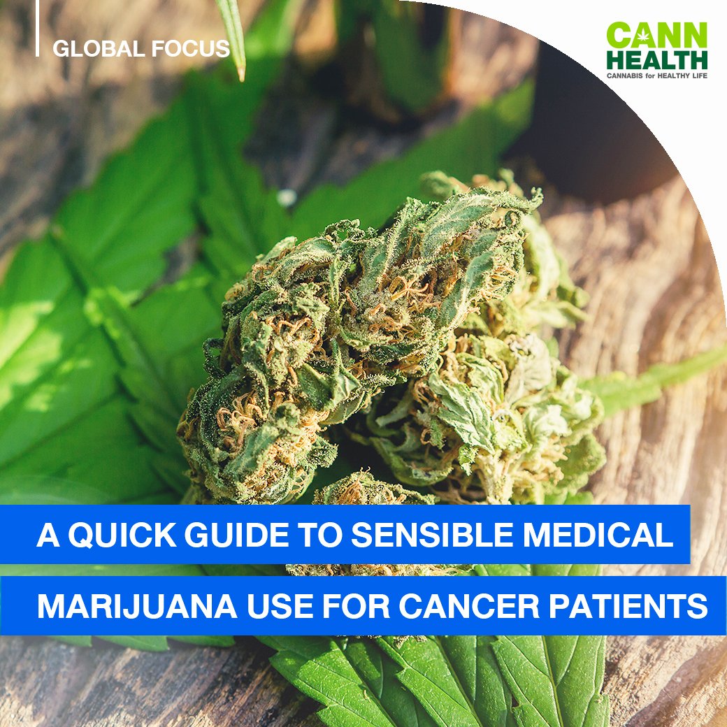A Quick Guide to Sensible Medical Marijuana Use for Cancer Patients ...