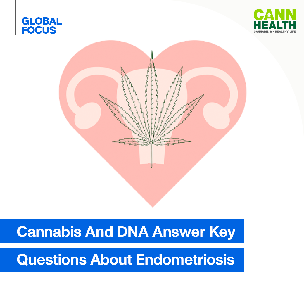Cannabis And DNA Answer Key Questions About Endometriosis - cannhealth