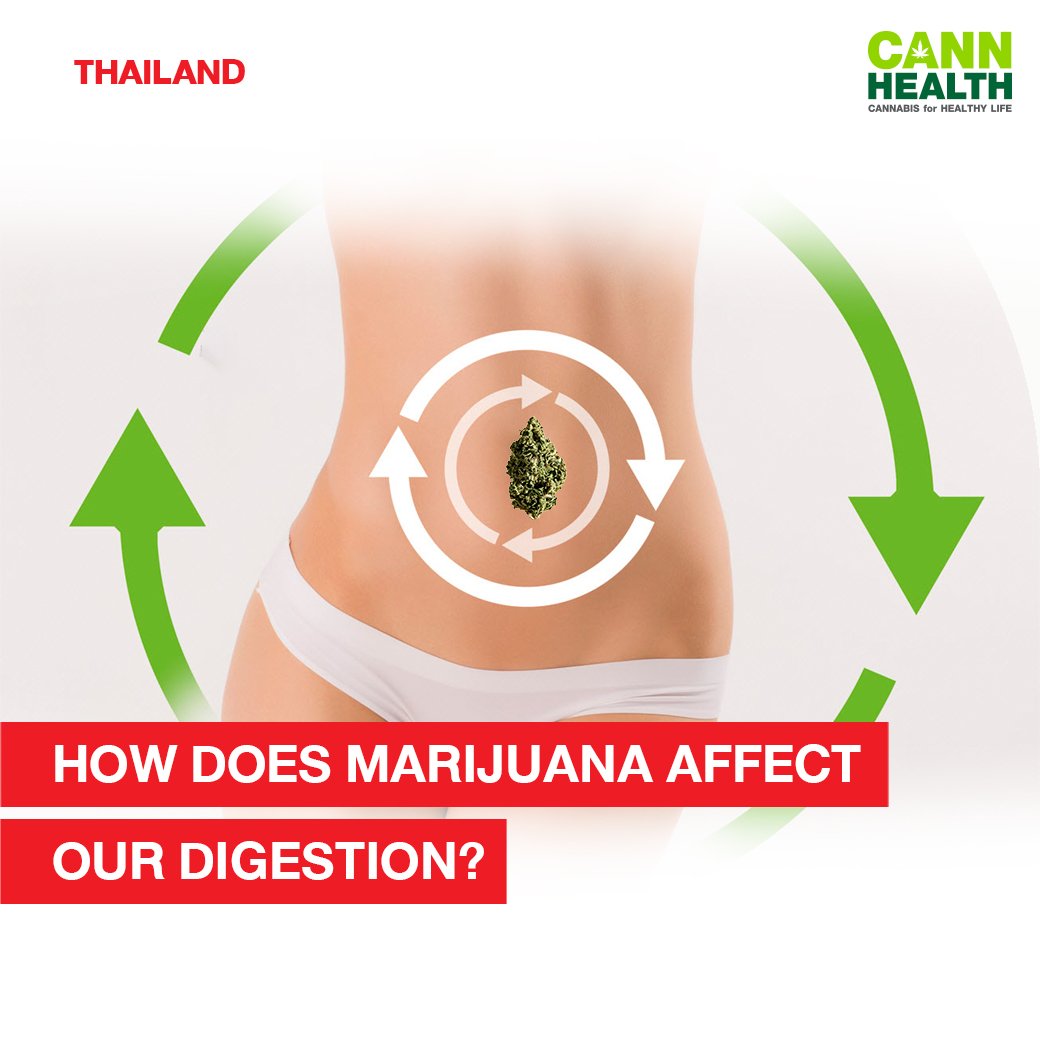 How Does Marijuana Affect Our Digestion? - cannhealth