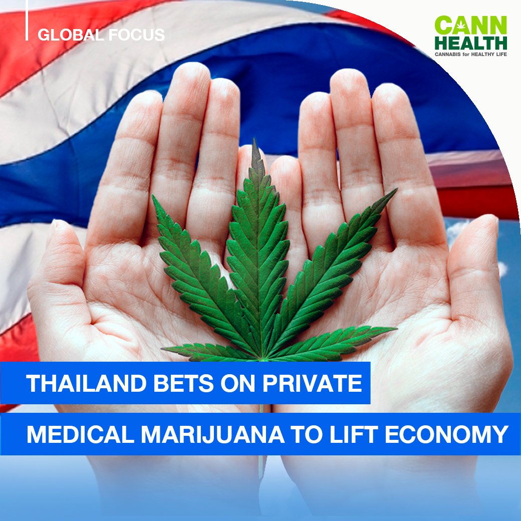 Thailand Bets on Private Medical Marijuana to Lift Economy
