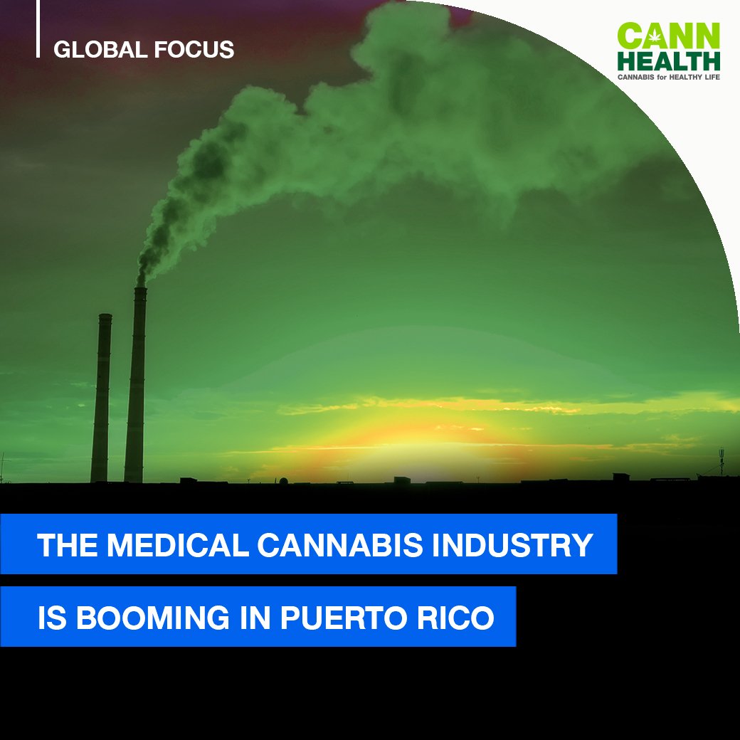 The Medical Cannabis Industry Is Booming In Puerto Rico