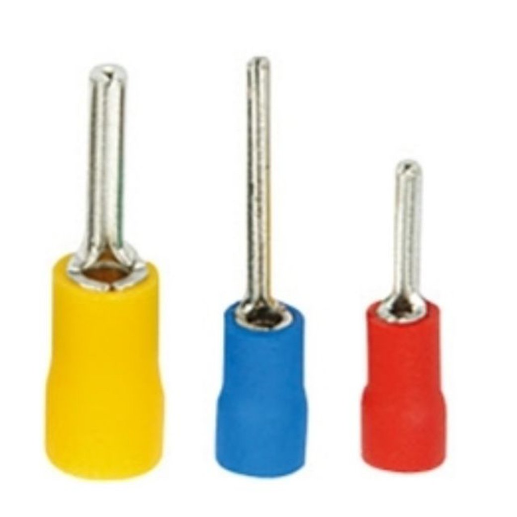 หางปลาเข็ม (CIKACHI) - cpmagnetic