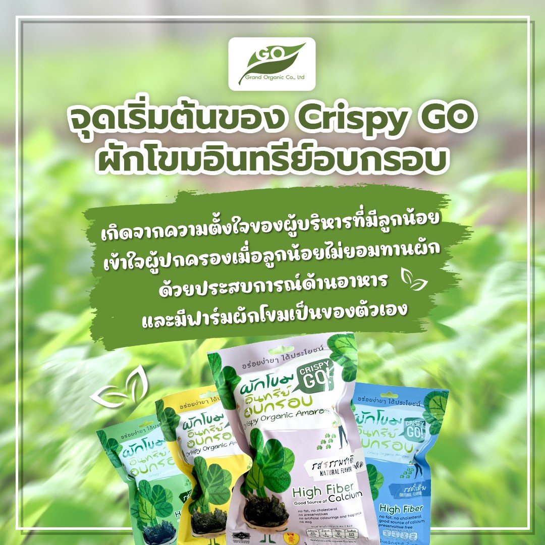 The beginning of Crispy GO, crispy organic spinach - grandorganic-go