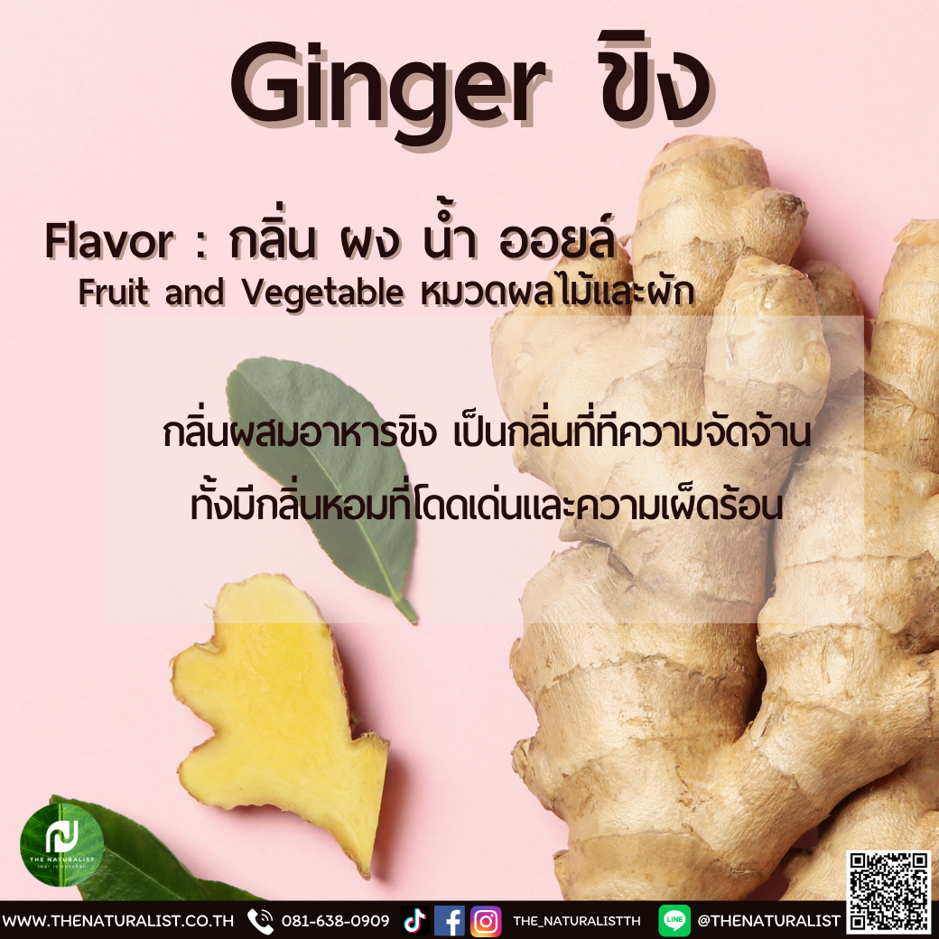ขิง - Ginger Flavor - thenaturalist