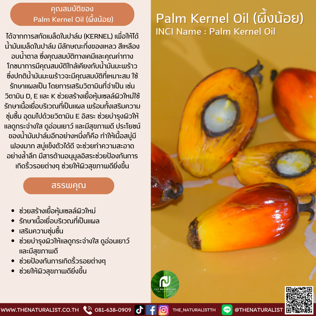น้ำมันปาล์ม - Palm Kernel Oil - thenaturalist