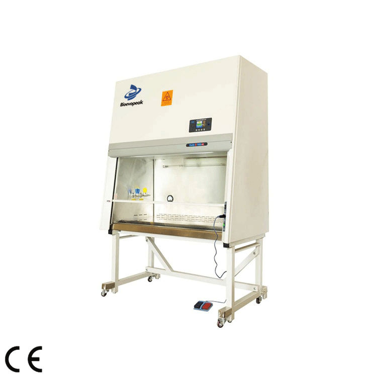 Biosafety Cabinet Class Ii Type A2 Specification | Cabinets Matttroy