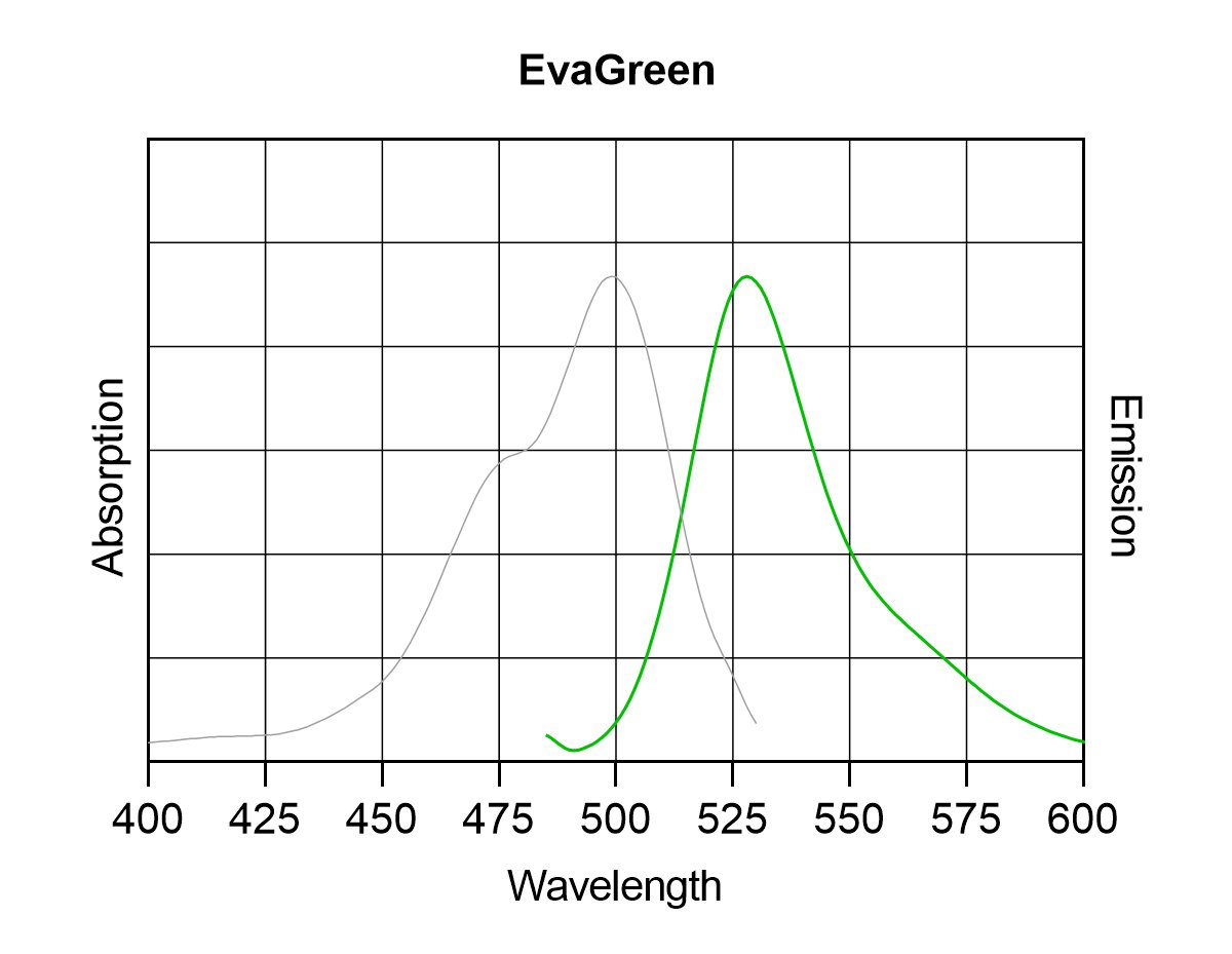 EvaGreen® Dye, 20X in Water, 1 mL, trial size - smartscience