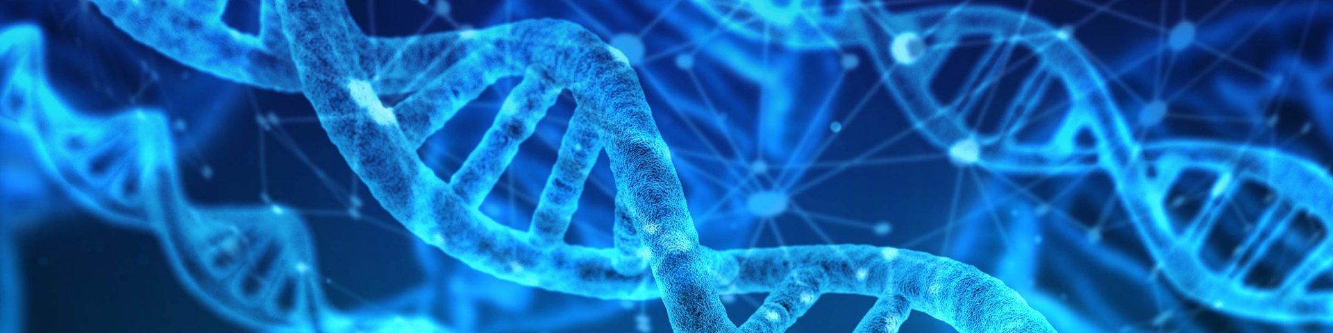 หมดกังวลในการลืมเติมตัวอย่างสำหรับเทคนิค real-time PCR กับ FORGET-ME ... หมดกังวลในการลืมเติมตัวอย่างสำหรับเทคนิค real-time PCR กับ FORGET-ME ...