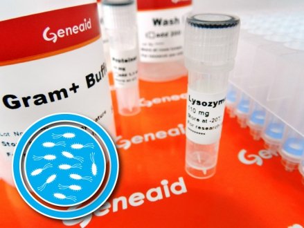 Presto™ 96 Well gDNA Bacteria Kit - smartscience