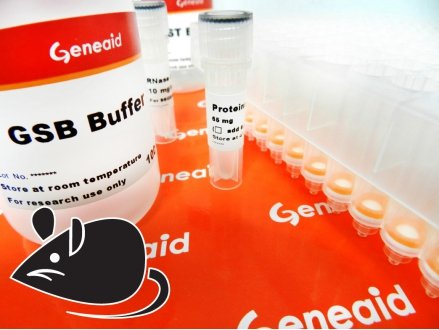 gSYNC™ 96 Well DNA Extraction Kit - smartscience