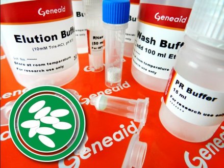 Presto™ Mini gDNA Yeast Kit - smartscience