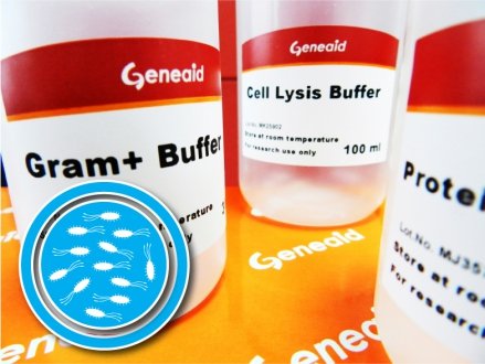 Geneaid™ DNA Isolation Kit (Bacteria), 1 ml/rxn - smartscience