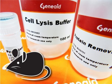 Geneaid™ DNA Isolation Kit (Tissue) Plus, 1 ml/rxn - smartscience