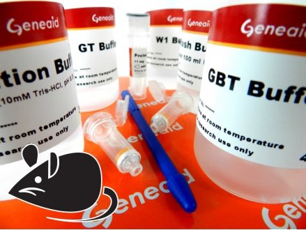 Genomic DNA Mini Kit (Tissue) - smartscience