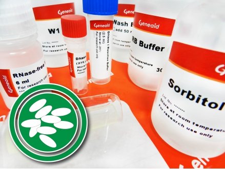 Presto™ Mini RNA Yeast Kit w/DNase Set - smartscience