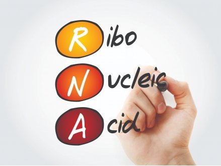 rSYNC™ RNA Isolation Kit w/DNase Set - smartscience