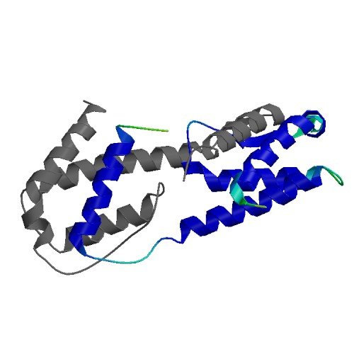 IL5, Human - smartscience