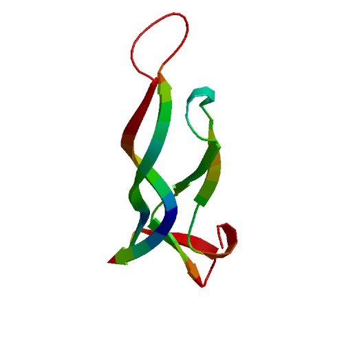IL17B, Human, 5 ug - smartscience